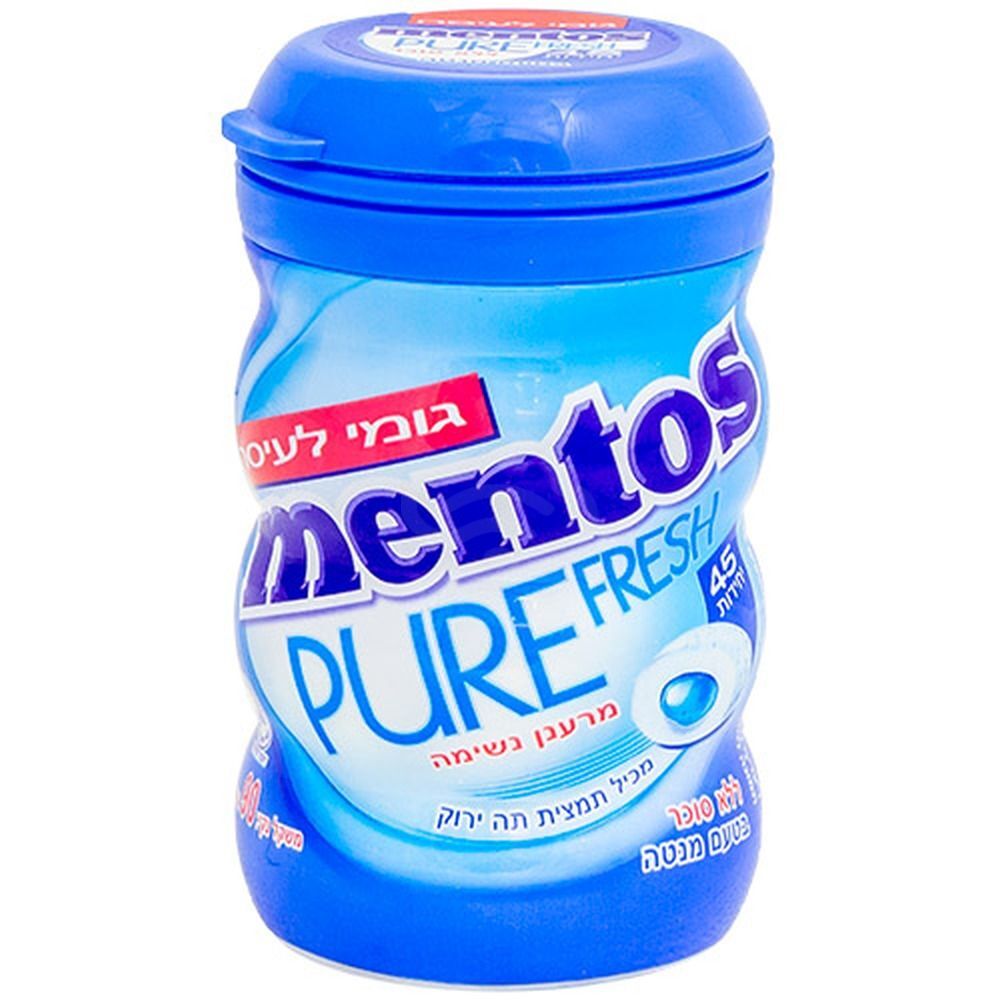 Mentos Mint Gum